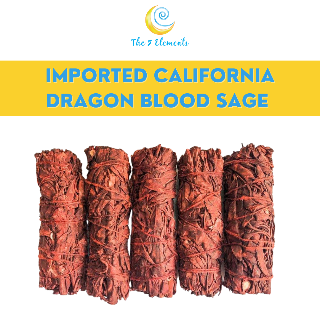 100% Original 4" California Dragon Blood Sage from US | 龙血鼠尾草 |The 5 ...